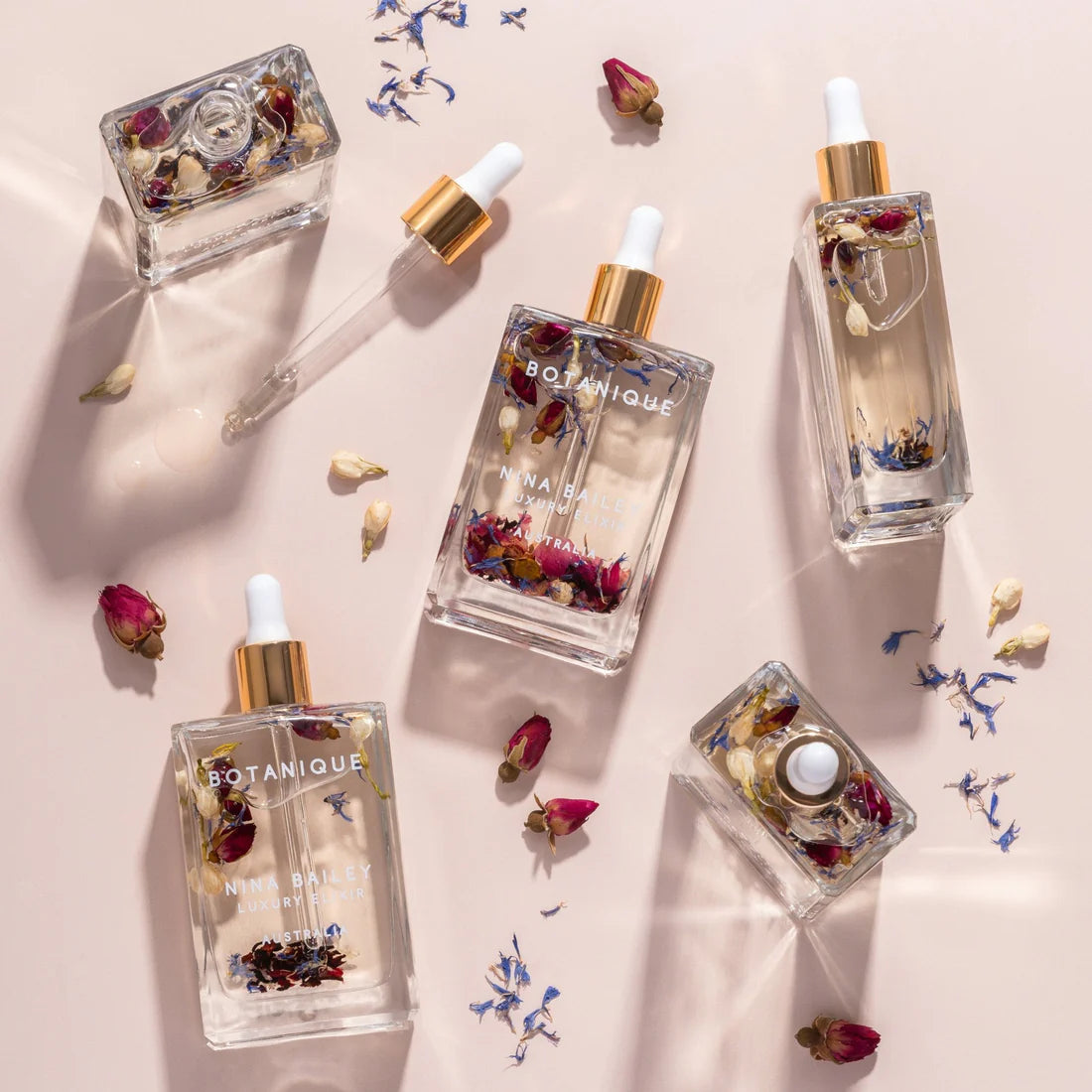 Nina Bailey – Cedar Cicada