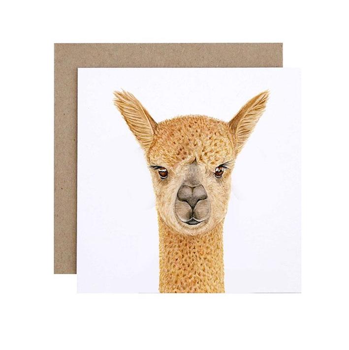 Alice the Alpaca Card – Cedar Cicada